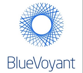 BlueVoyant | Cadre Information Security
